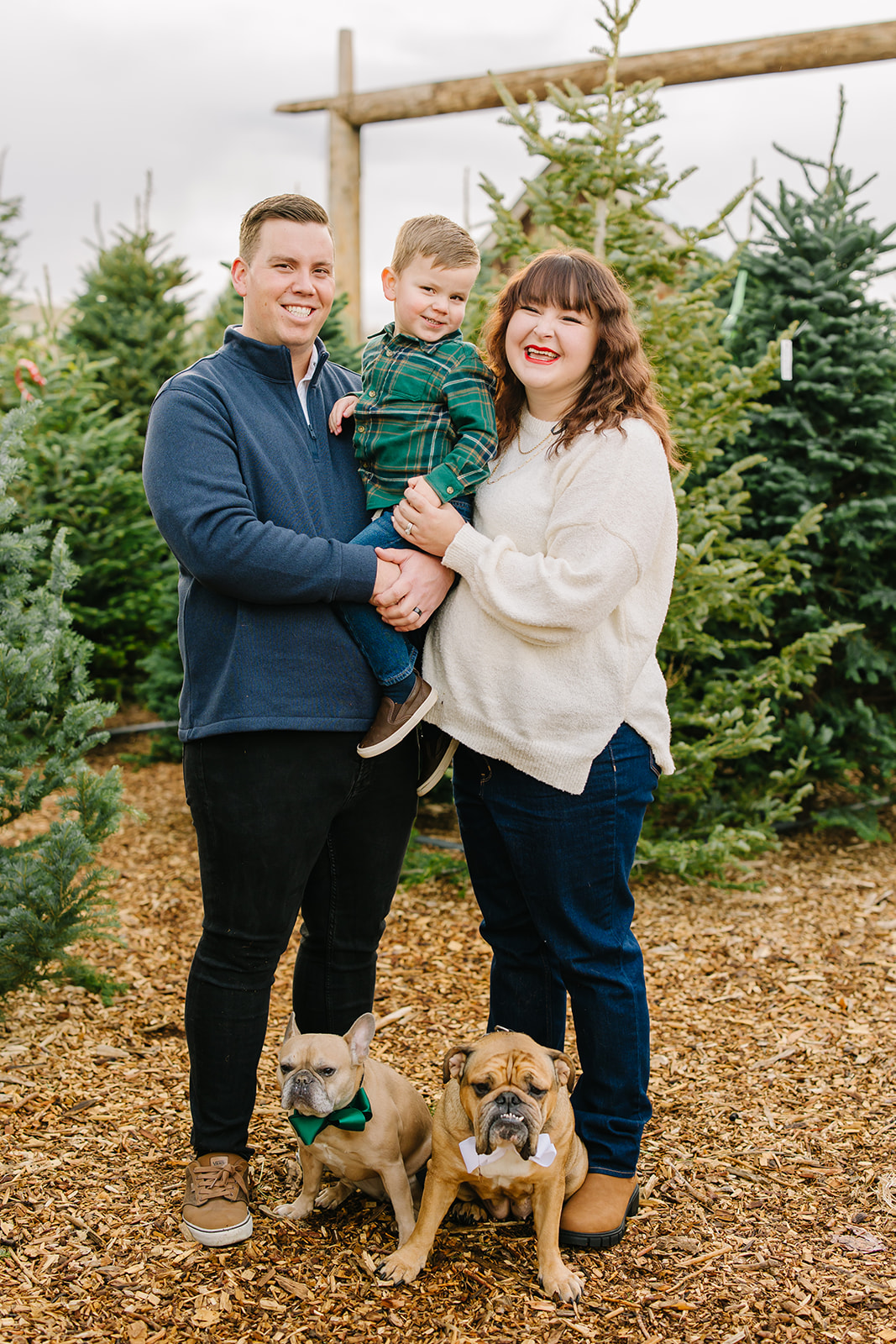 Christmas Tree Family Pictures | Utah Photographer - Truly Photography